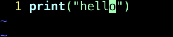 [oeasy]python024_vim读取文件_从头复制到尾_撤销_重做_reg_寄存器 - 知乎