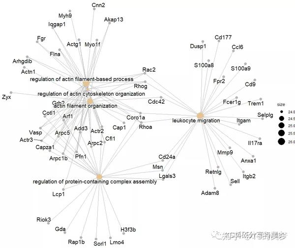 clusterProfiler：基因功能富集分析的惊喜之作 - 知乎