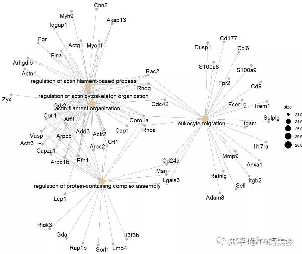 clusterProfiler：基因功能富集分析的惊喜之作 - 知乎