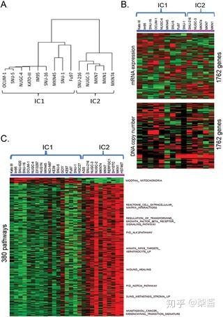 [数据库 1] "癌症细胞系百科全书"CCLE数据库简介 - 知乎