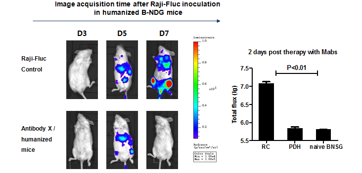 免疫系统人源化小鼠模型 - 知乎