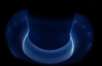 材料机器学习中的MLIPs、GNoME、ACE、MACE、MACE-MP-0指的是什么？ - 知乎