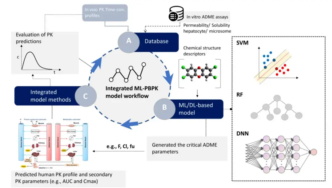 机器学习与人工智能在PBPK建模中的应用 - 知乎