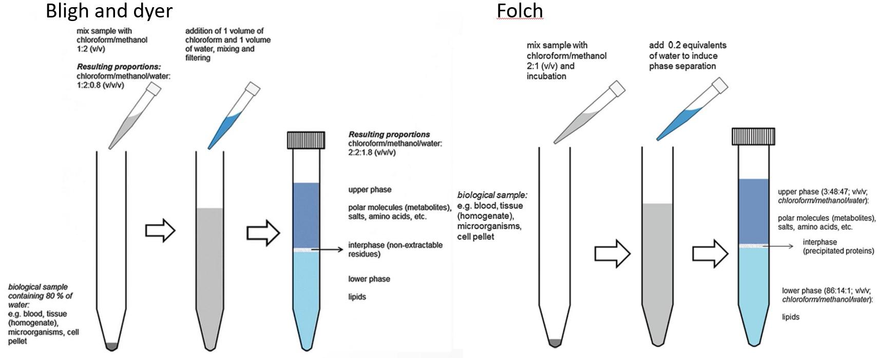 脂质组学 - 知乎