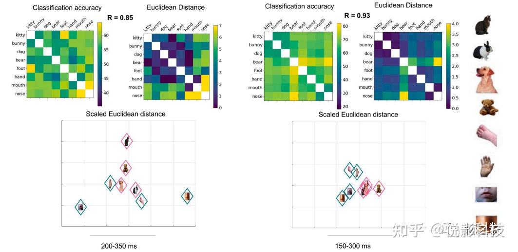 婴儿EEG数据的多元模式分析(MVPA):一个实用教程 - 知乎