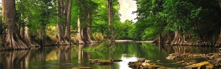 英语语法（132） insofar as 用法 - 知乎