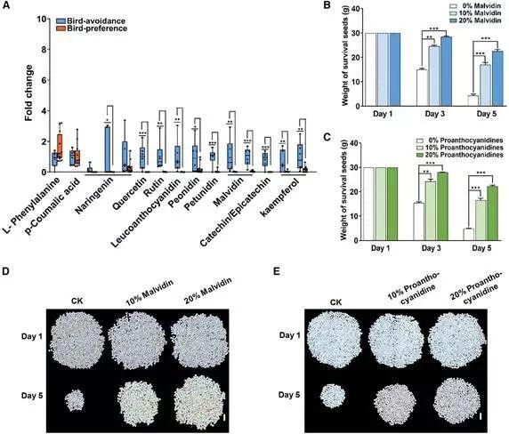 客户文章| Molecular Plant大揭秘：高梁如何智斗小麻雀！ - 知乎