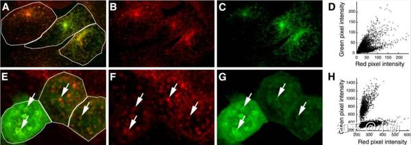 图像共定位——共现与相关性 - 知乎