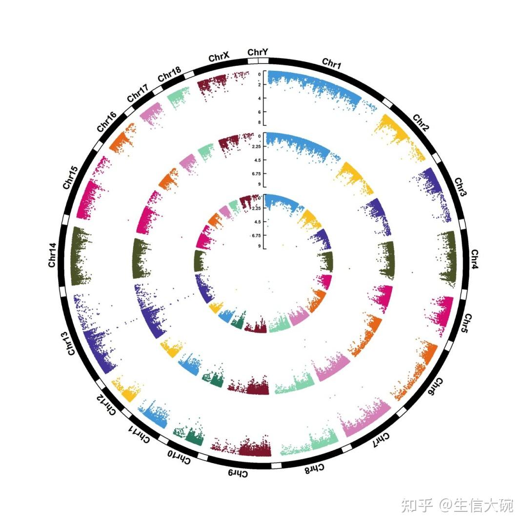 10 分钟搞定环形曼哈顿图！生信可视化必备 R 代码（附 5 种实用方案） - 知乎