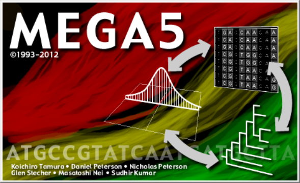 MEGA5.1获取和构建系统发育树 - 知乎