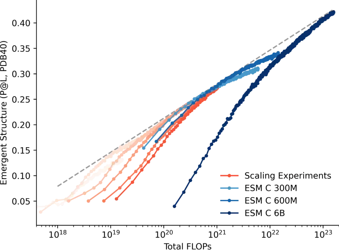 蛋白质大模型ESM C发布，60亿参数，性能远超150亿参数的ESM2 - 知乎