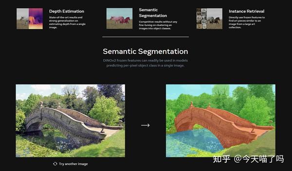 视觉基础模型：DINOv2 after SAM - 知乎