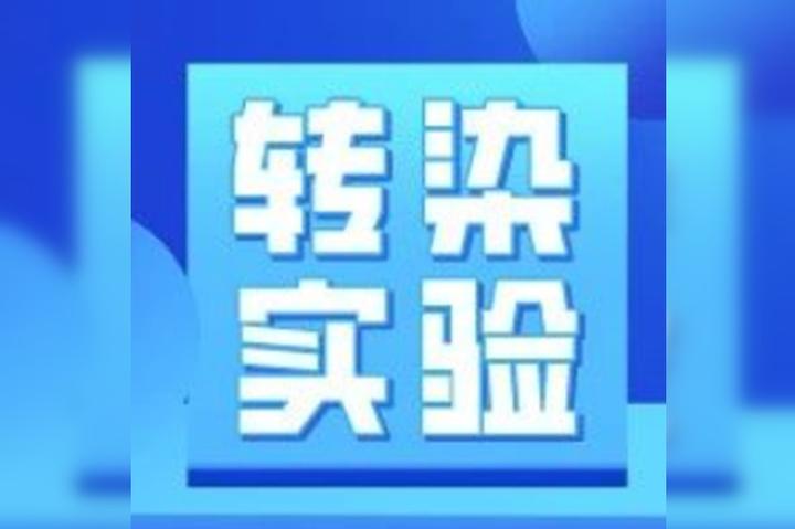 实验储备 | siRNA转染操作及要点 - 知乎