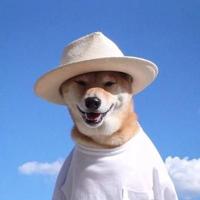 ViT 微调时position embedding如何插值（interpolate）【源码解析】 - 知乎