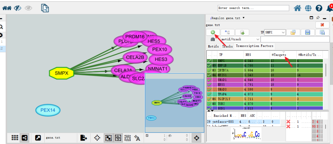 【干货】如何使用cytoscape玩转网络图？（二） - 知乎