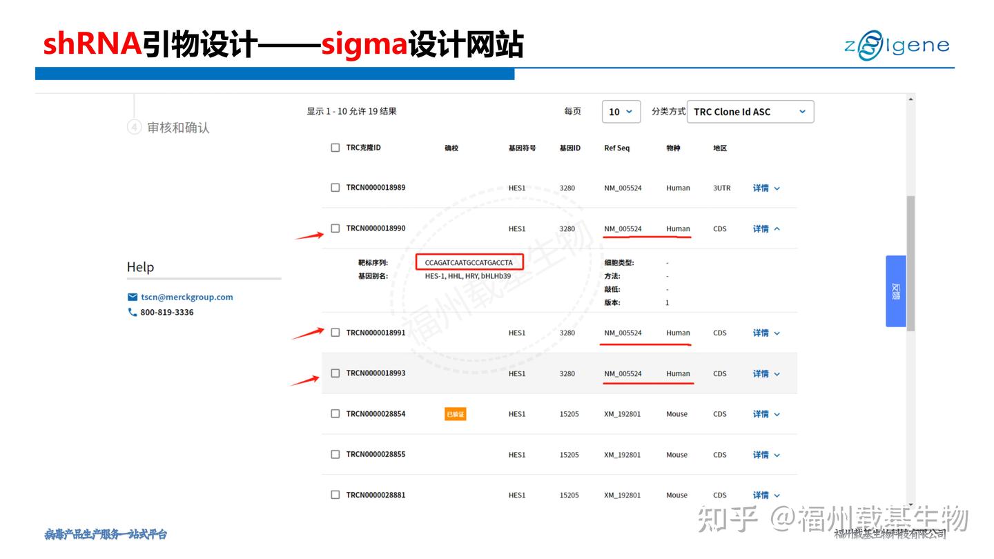 siRNA与shRNA引物设计 - 知乎