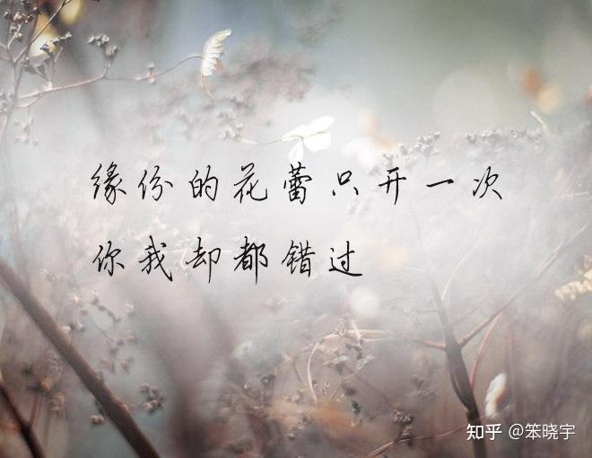 往后余生,不纠缠,不打扰~ 知乎