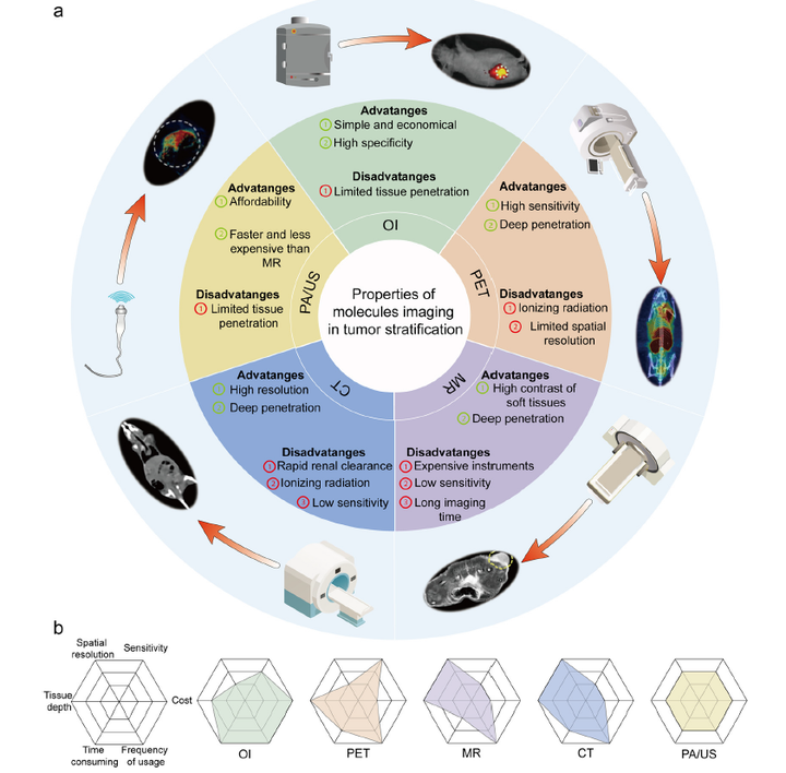 Che Soc Rev |北京大学应用纳米探针分子成像于肿瘤患者分层 - 知乎