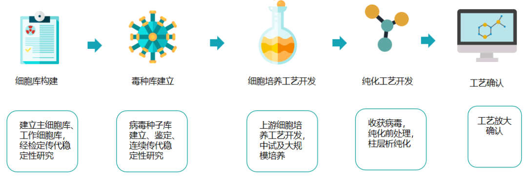 上海逐典TrypLUS消化液