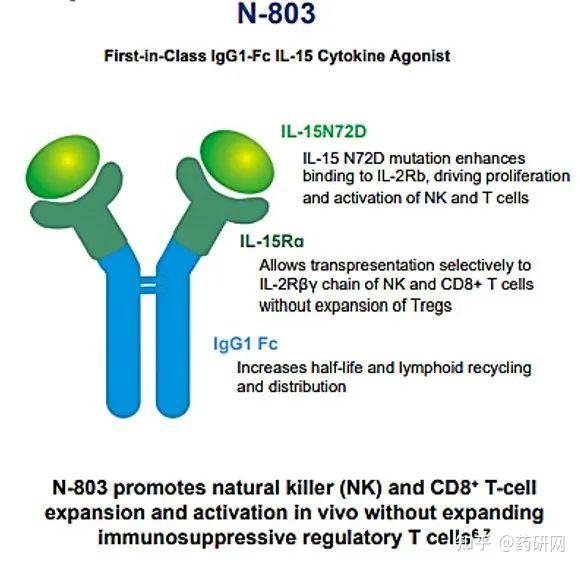 FDA接受ImmunityBio重新提交的IL-15融合蛋白上市申请 - 知乎