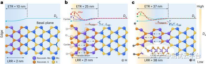 Nature Catalysis：MoS2电催化析氢反应中的可视化结构演变 - 知乎