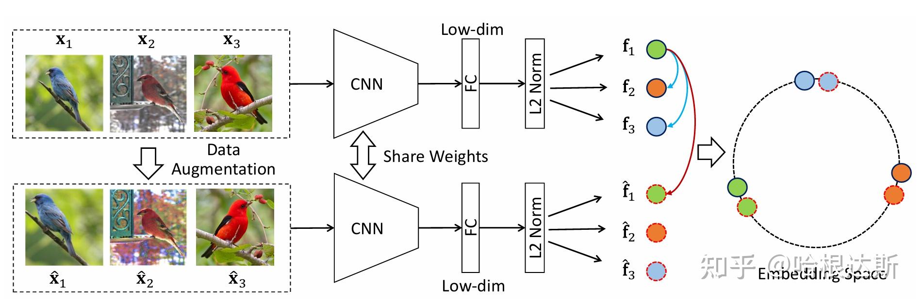 一文贯通图像对比学习技术——从InstDisc、MoCo、SimCLR到DINO系列 - 知乎
