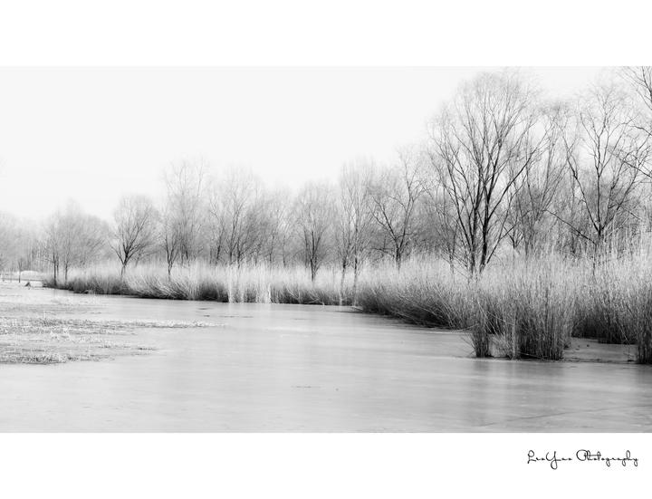 GOAP融入UE Mass Entity与MassAI的架构：大规模并行化规划的实现策略 - 知乎