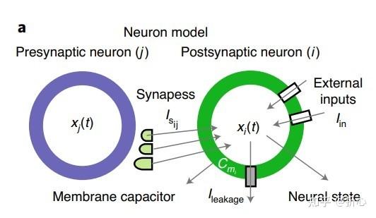 一些文章: Neural circuit policies enabling auditable autonomy - 知乎