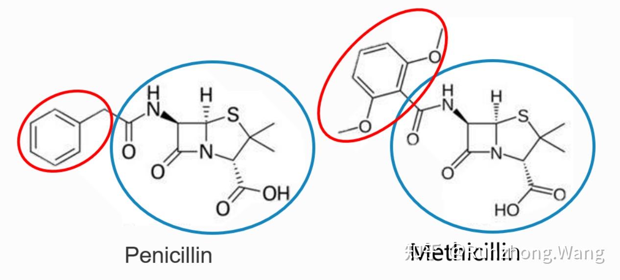 【JMLR开源】图匹配工具pygmtools：不到10行代码，建模求解一条龙！ - 知乎