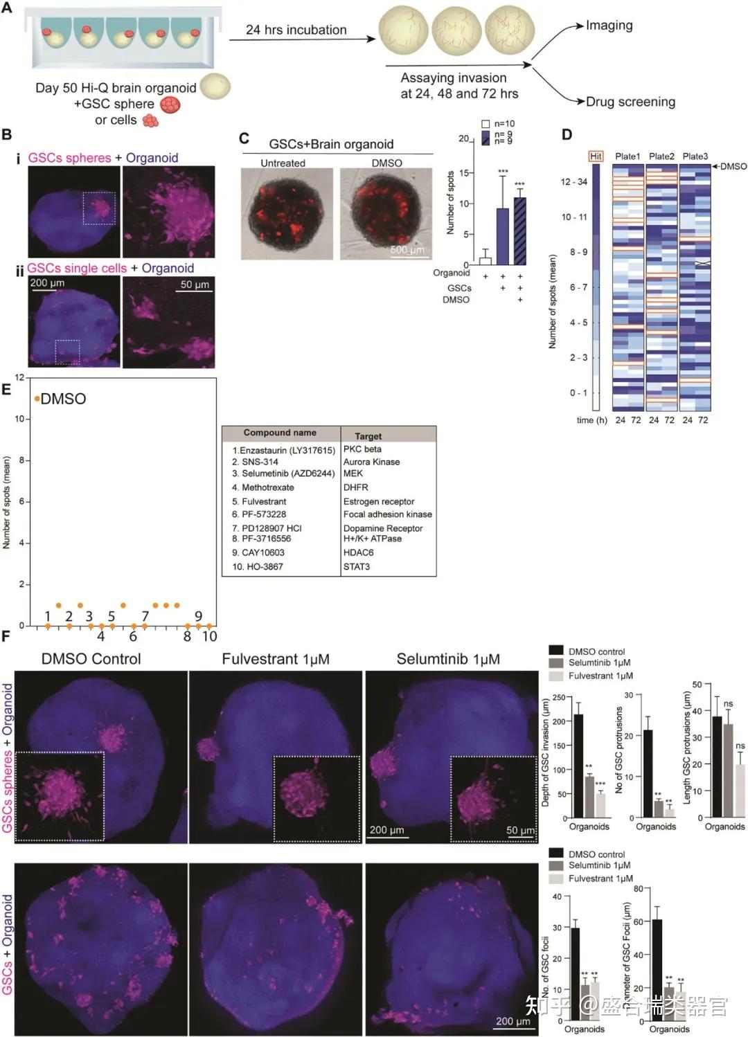 Nature子刊：如何使用6个iPSC细胞系产生1万多个脑类器官？ - 知乎