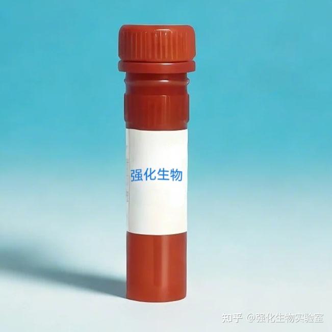 Human Dil-Ox-LDL，用于研究脂蛋白代谢 - 知乎