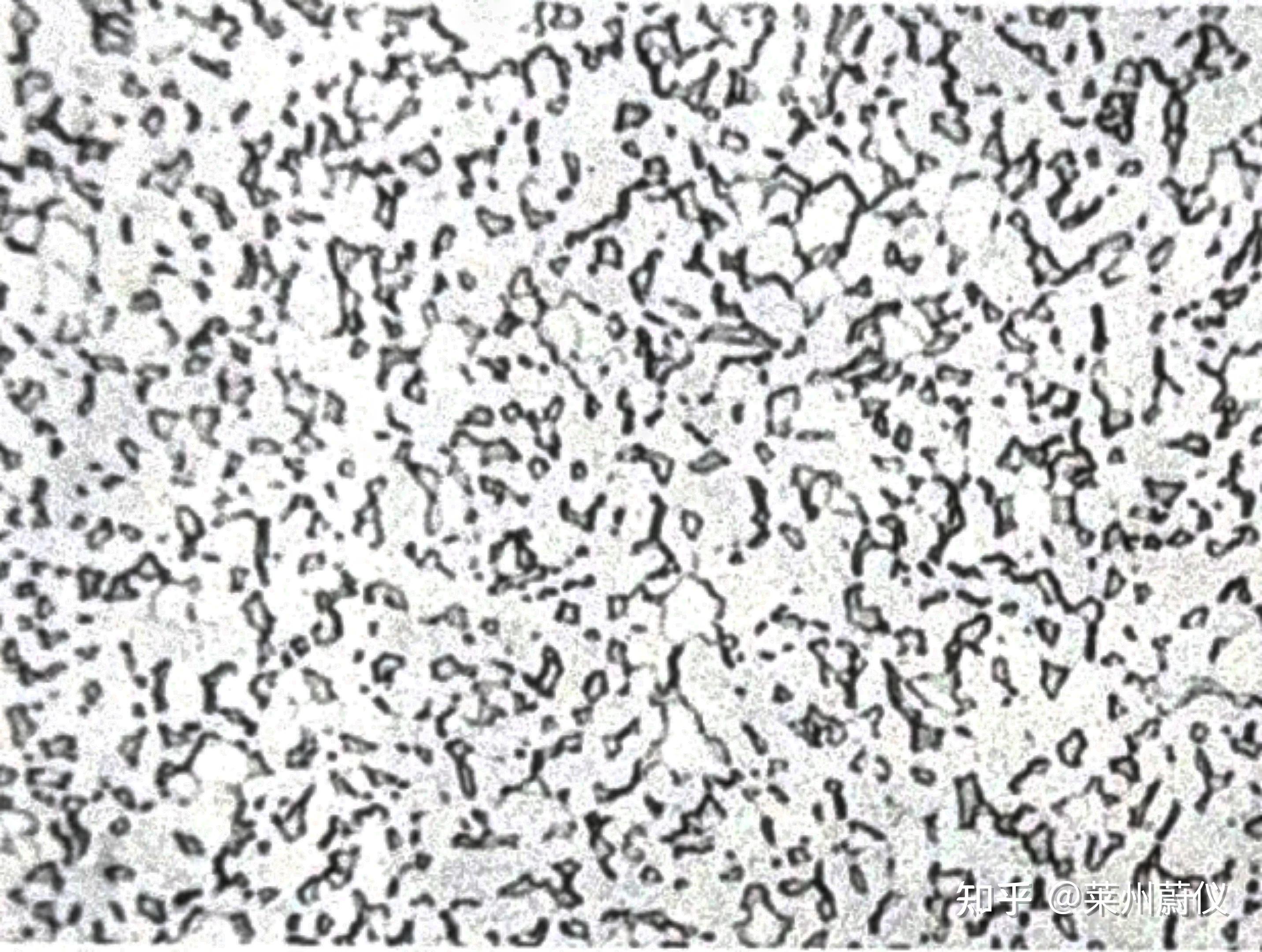 钛合金TC4金相组织与处理情况 - 知乎