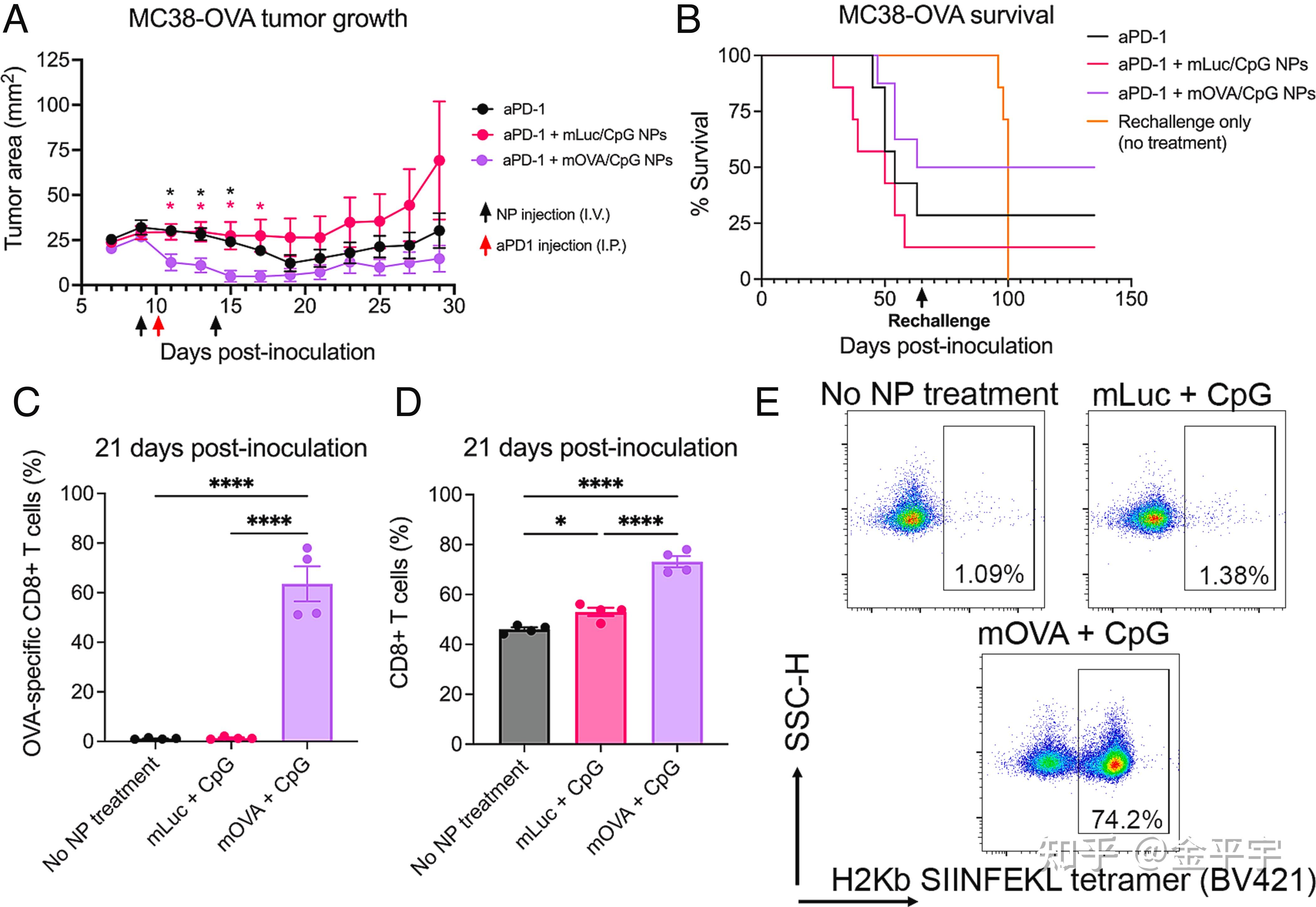 科学家设计出可能改善mRNA癌症疫苗的纳米颗粒 - 知乎