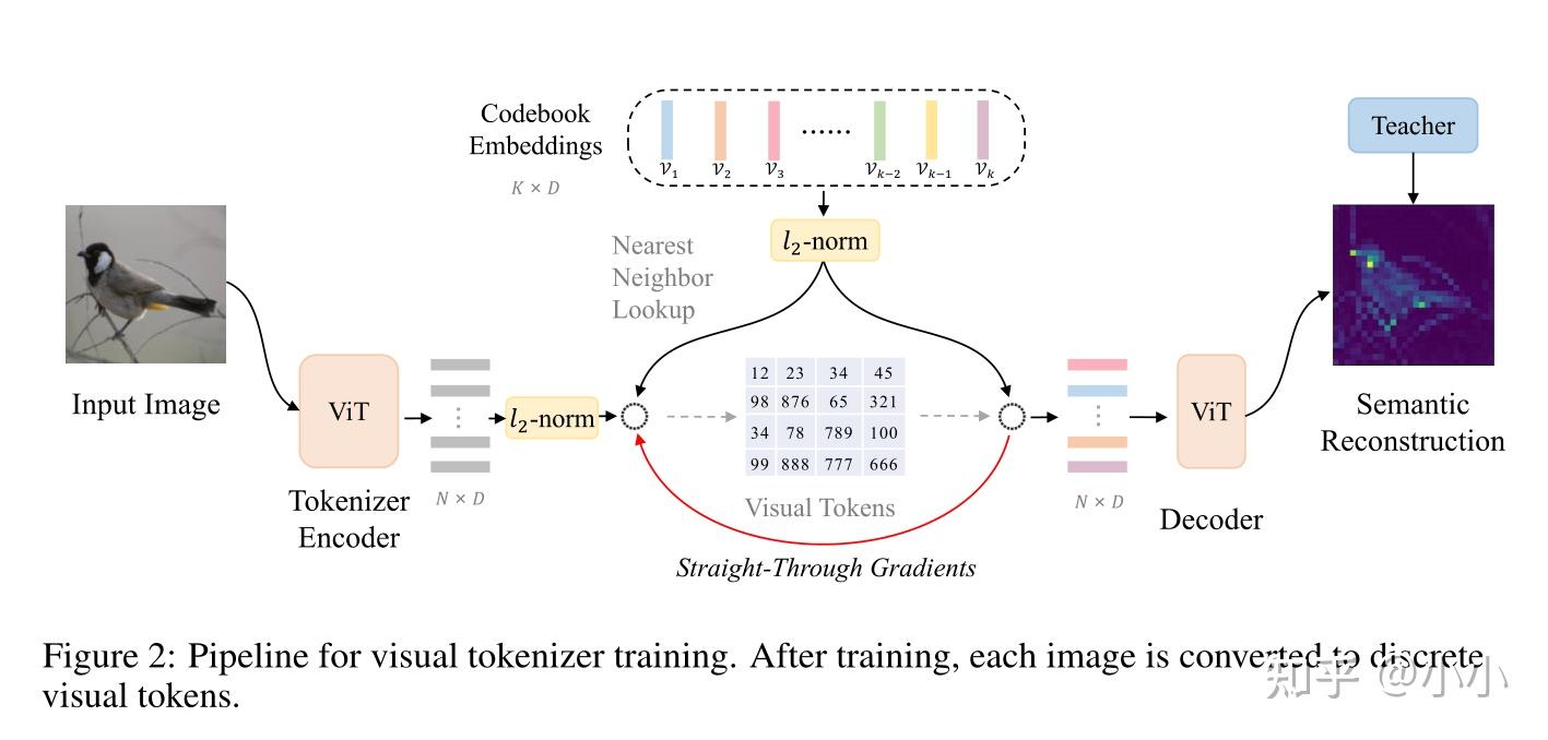 self-supervised learning （六）BeiTv2 - 知乎