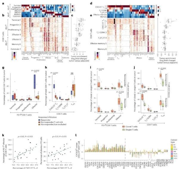 Nat Med | 美国免疫学美女院士：预测PD-1阻断疗效指征与机制 - 知乎