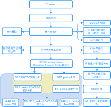 30+物种，100+Cell，菲沙基因Fiber-seq项目经验重磅发布 - 知乎