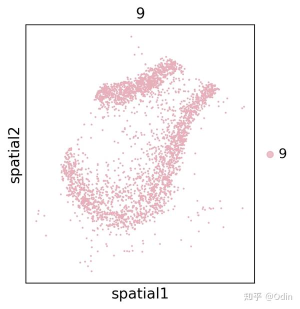 教程：用scanpy和squidpy分析单细胞空间转录组数据 - 知乎