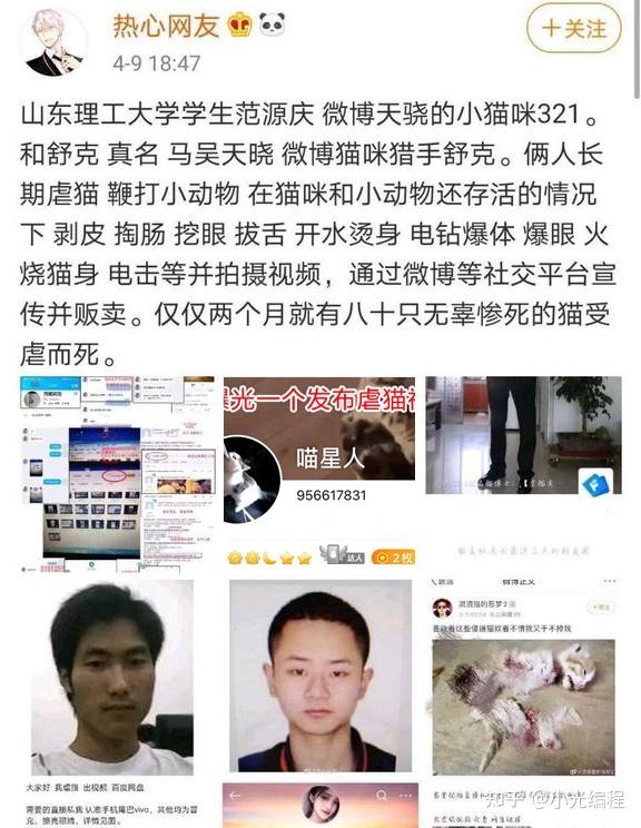 网传中央音乐学院一男子虐猫，视频中男子用电烙铁虐猫 知乎