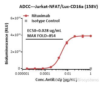 ADCC/ADCP功能验证用细胞株新品上市，助力细胞水平Fc功能验证 - 知乎