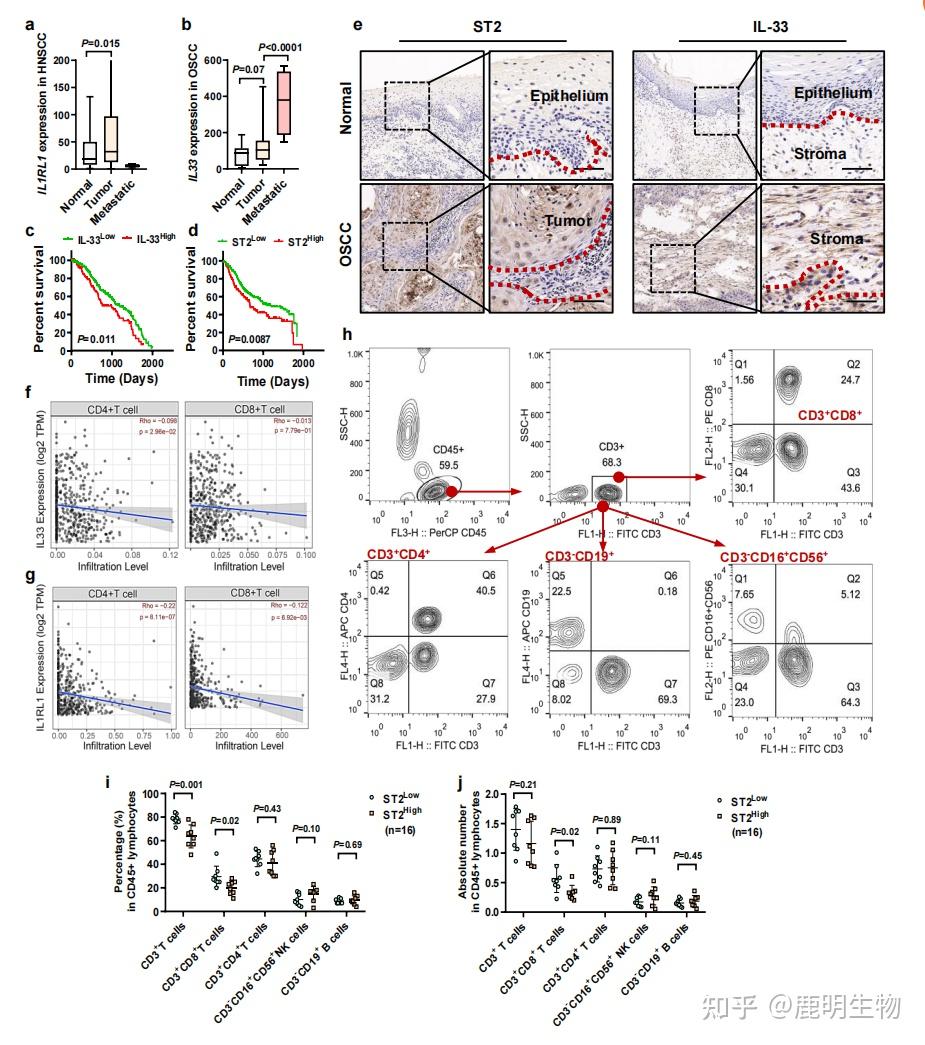 IL-33/ST2 信号促进口腔鳞癌中组成型和诱导型PD-L1的表达 - 知乎