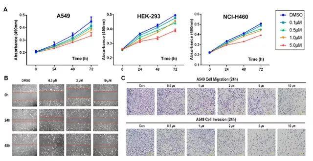 新型高活性高选择性 PAK4 抑制剂的发现 - 知乎