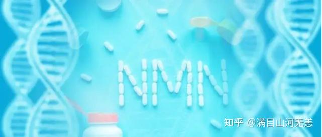 nmn对神经系统的作用：nmn对神经修复作用，涨知识！ - 知乎