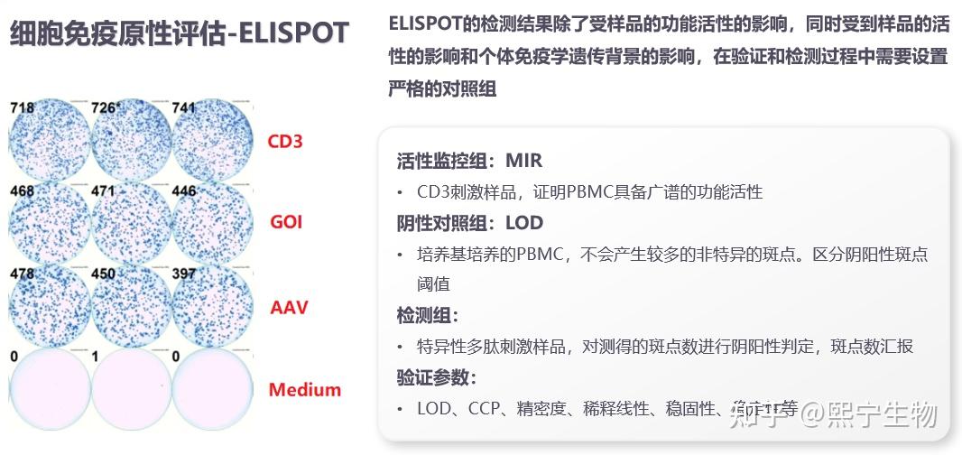 细胞免疫原性ELISPOT检测分析能力更新——全血运输稳定性至48小时 - 知乎