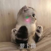 CUDA error: invalid device ordinal解决办法 - 知乎