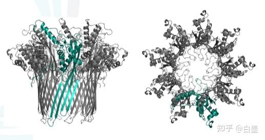 三代测序（Nanopore） - 知乎