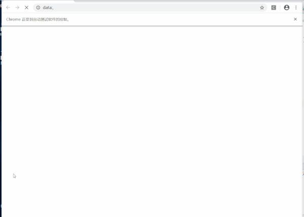 Selenium 执行 Js 代码的两个方法 知乎
