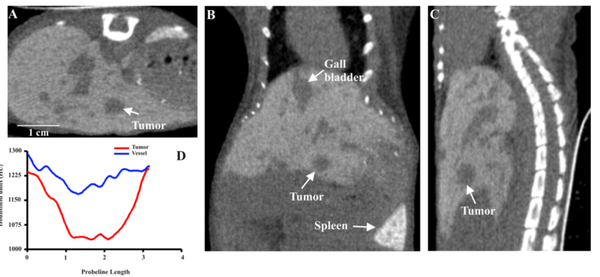 药效纵向研究新利器？Micro-CT影像技术在药物临床前小鼠药效模型上的应用 - 知乎