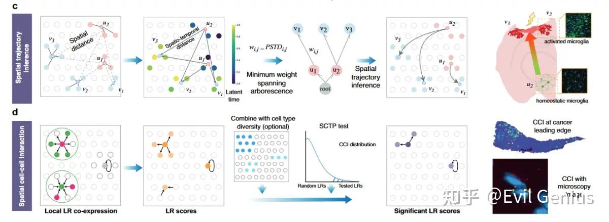 空间邻域通讯分析大汇总 - 知乎