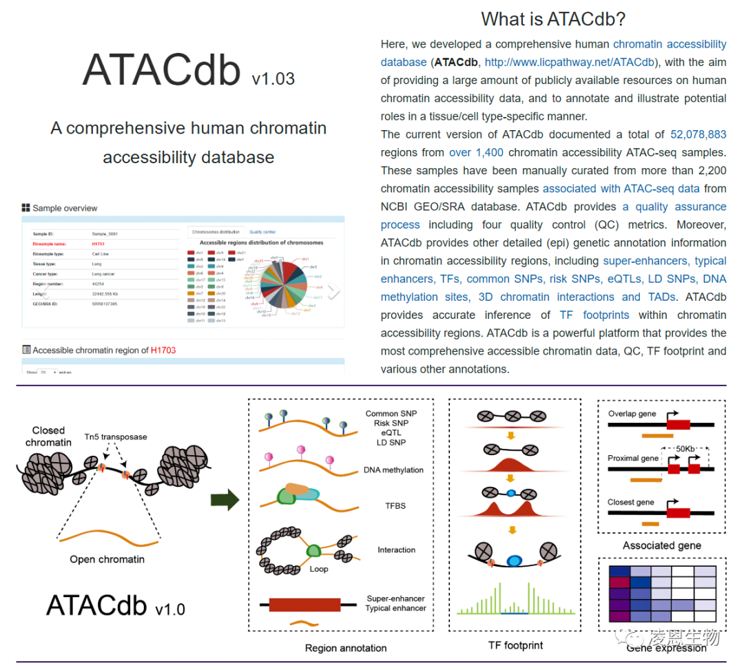数据库 | ATACdb：一个全面的人类染色质可开放性数据库 - 知乎