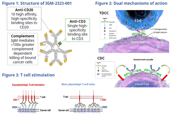 驾驭抗体的Avidity - 知乎